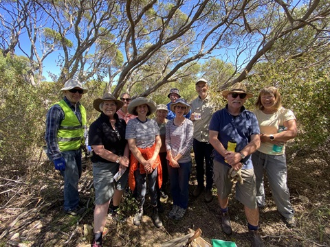 Borough Coastcarers - Bunnywoods | Borough of Queenscliffe